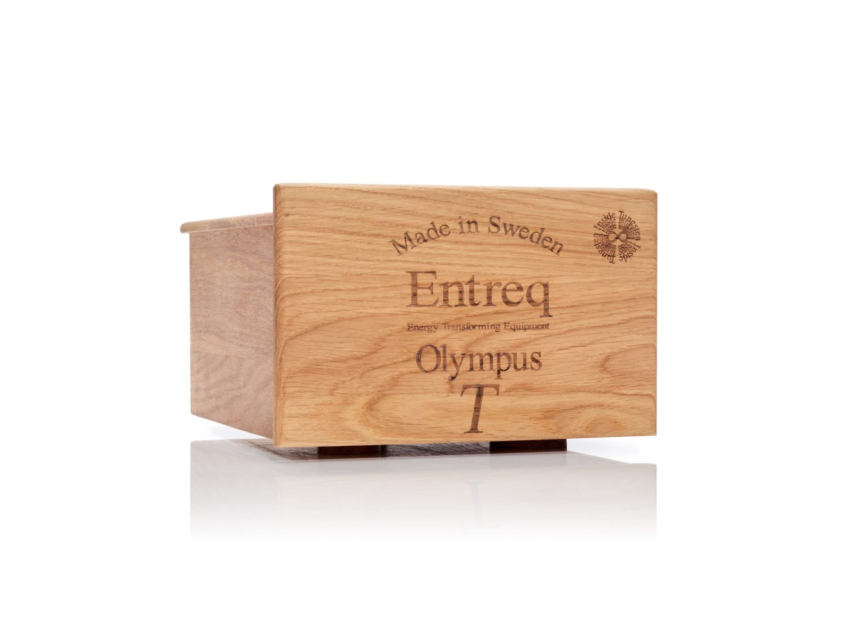 Entreq Olympus Infinity T Ground Box - Ultimate Double Grounding Points